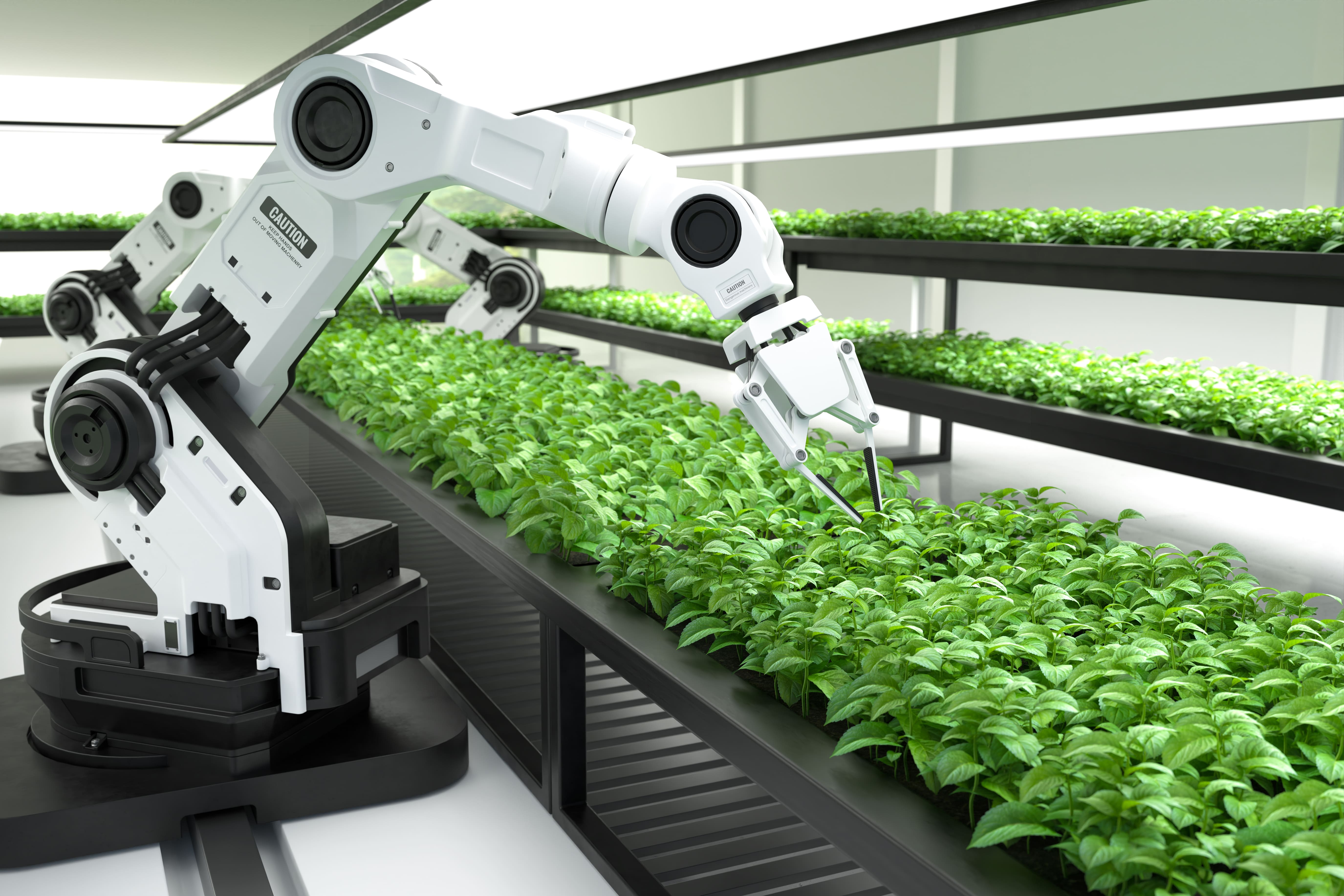 Artificial Intelligence in farming - Case Study